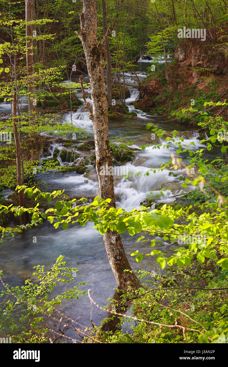 Paracin hi-res stock photography and images - Alamy