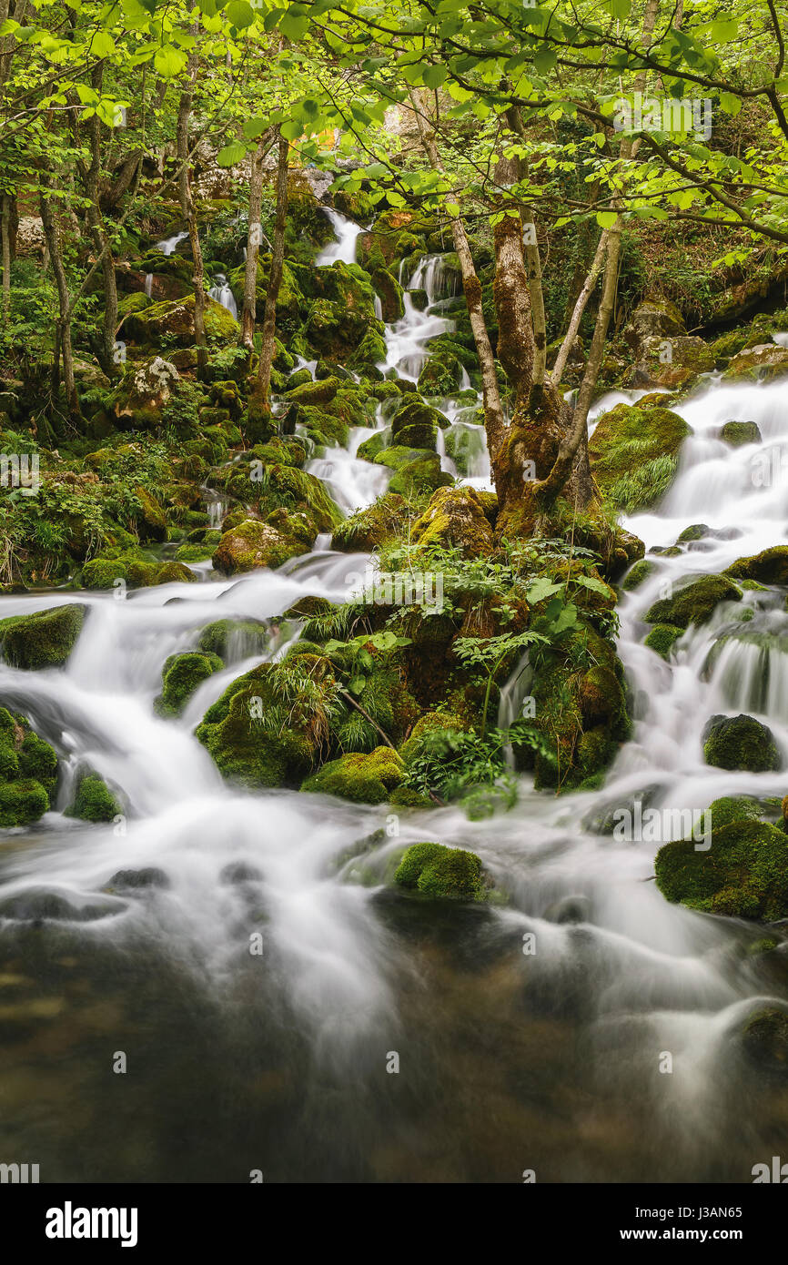 Paracin serbia hi-res stock photography and images - Alamy