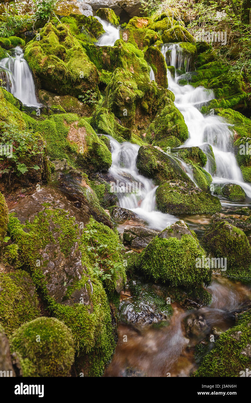 River spring with cascade in the forest surrounded by rocks and moss ...
