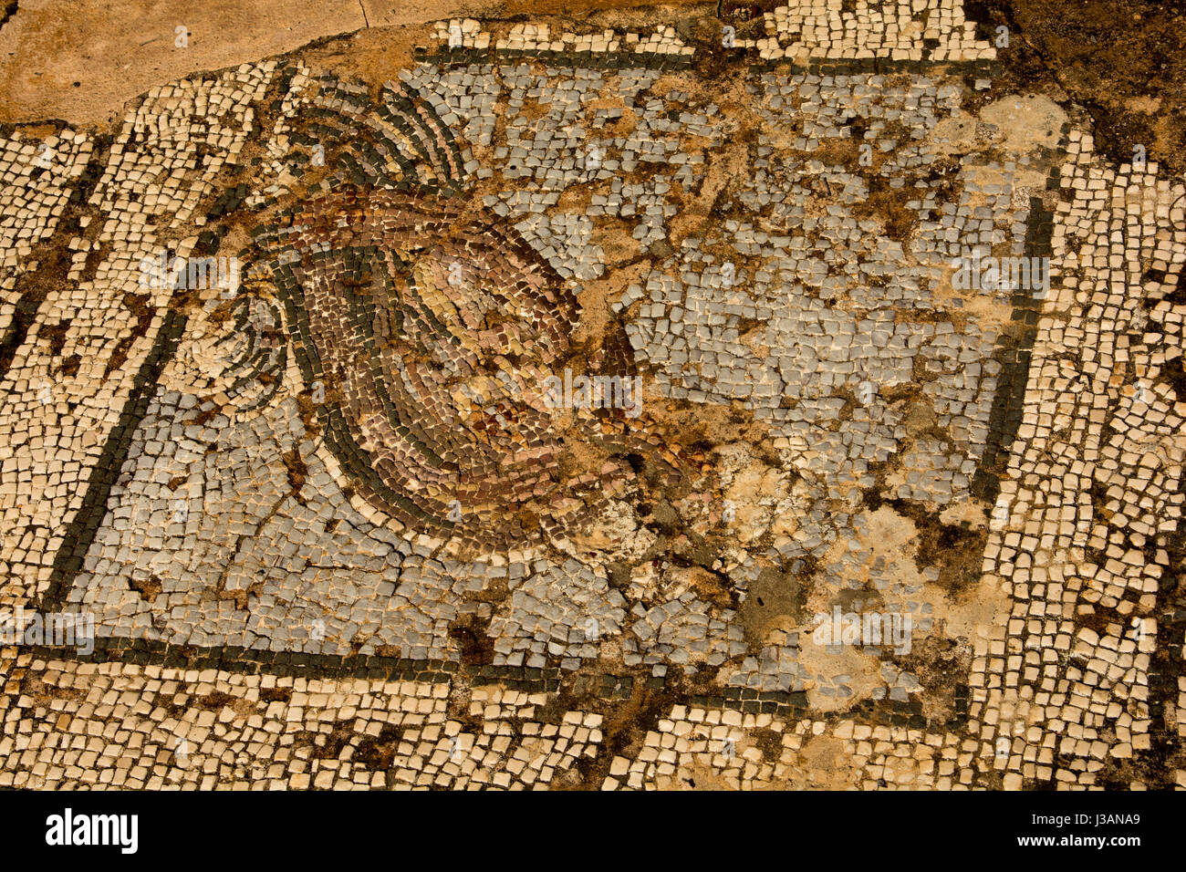 The ruins of the Asclepeion with its mosaics are probgably the most ...