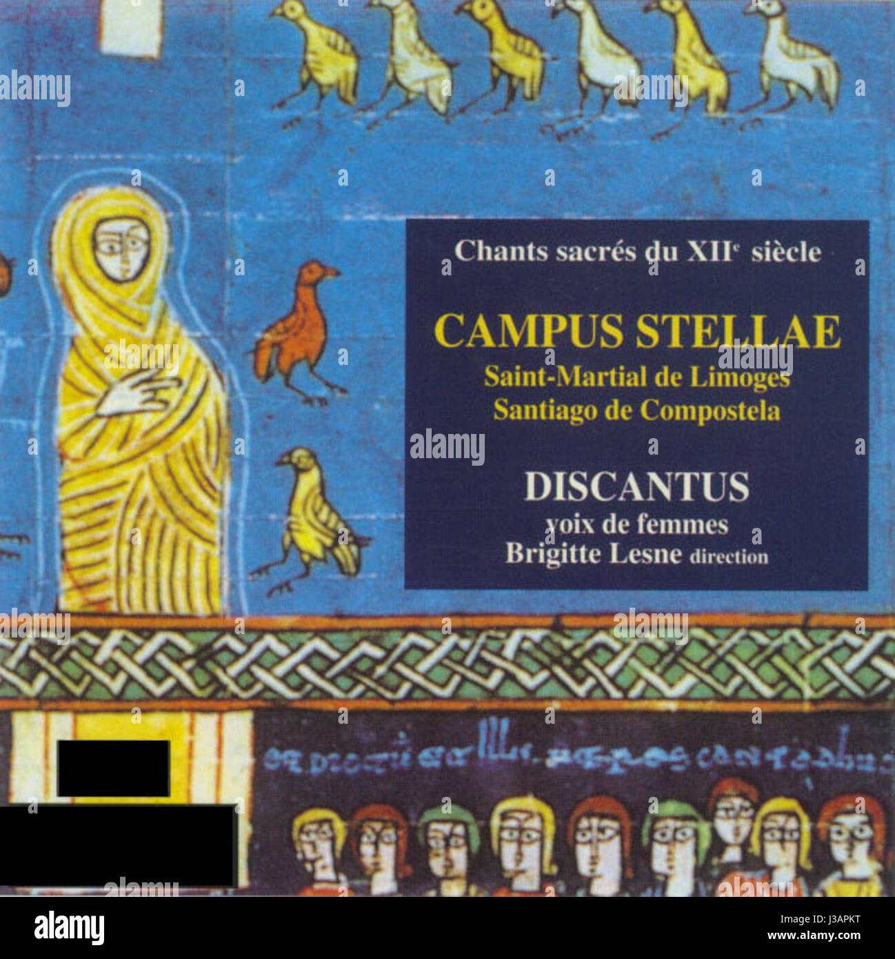 Campus stellae hi-res stock photography and images - Alamy