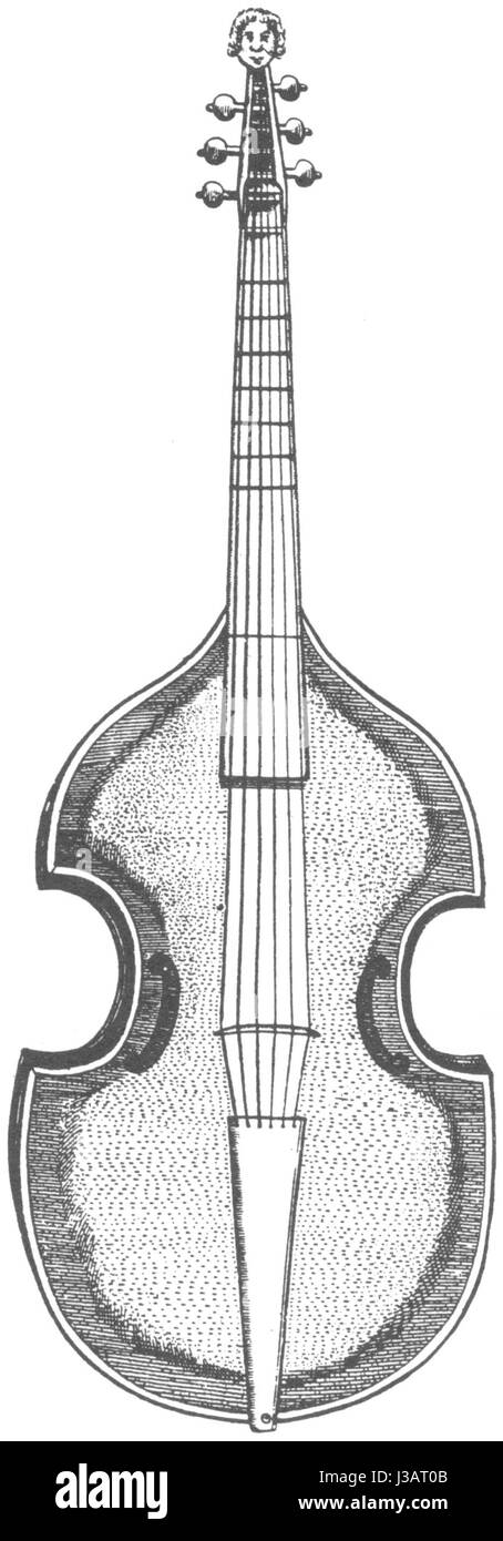 División viol hi-res stock photography and images - Alamy