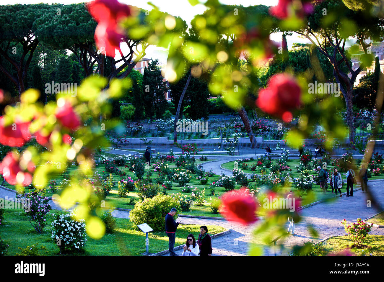 Rome, Italy. 3rd May, 2017. People appreciate the roses inside Rome ...