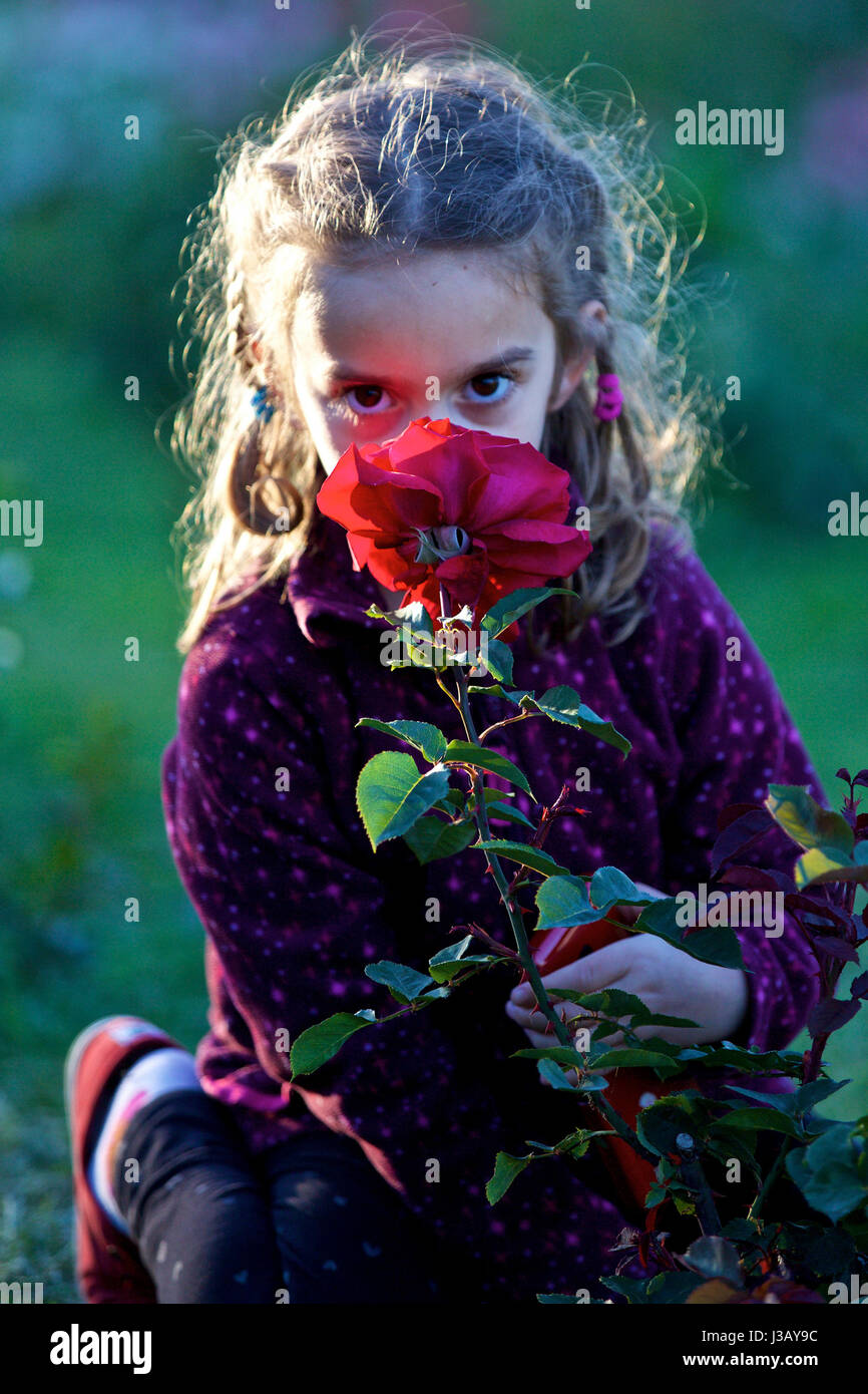 Rome, Italy. 3rd May, 2017. A little girl appreciates the roses inside ...