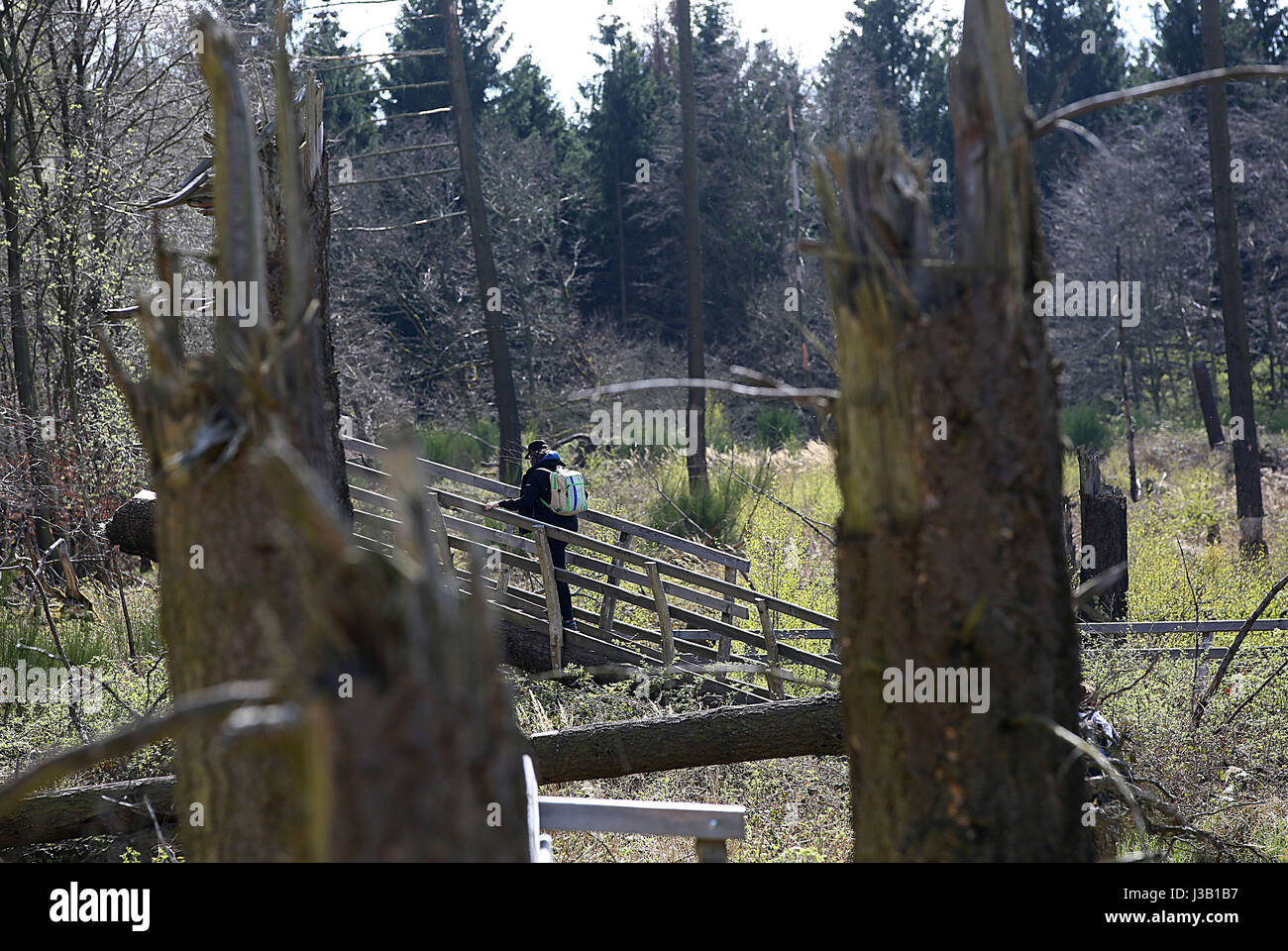 Gmuend, Germany. 11th Apr, 2017. Visitors walk along the 'Wilder Weg ...
