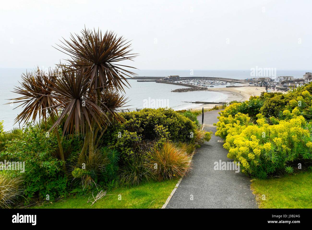 Lyme Regis, Dorset, UK. 4th May, 2017. UK Weather. Langmoor Gardens ...