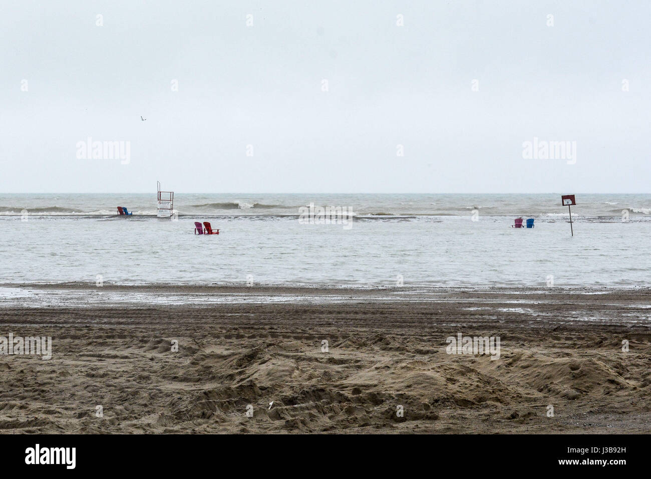 Toronto, Canada. 05th May, 2017. Toronto, Canada. May 5, 2017. Toronto ...