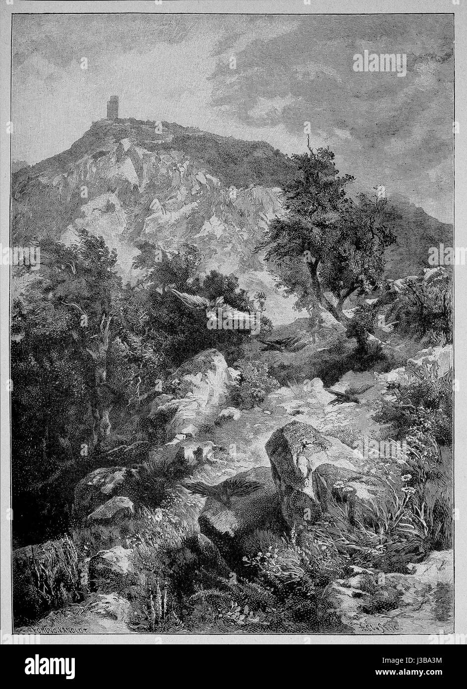 Die Gartenlaube, a German illustrated magazine from 1884, provides ...