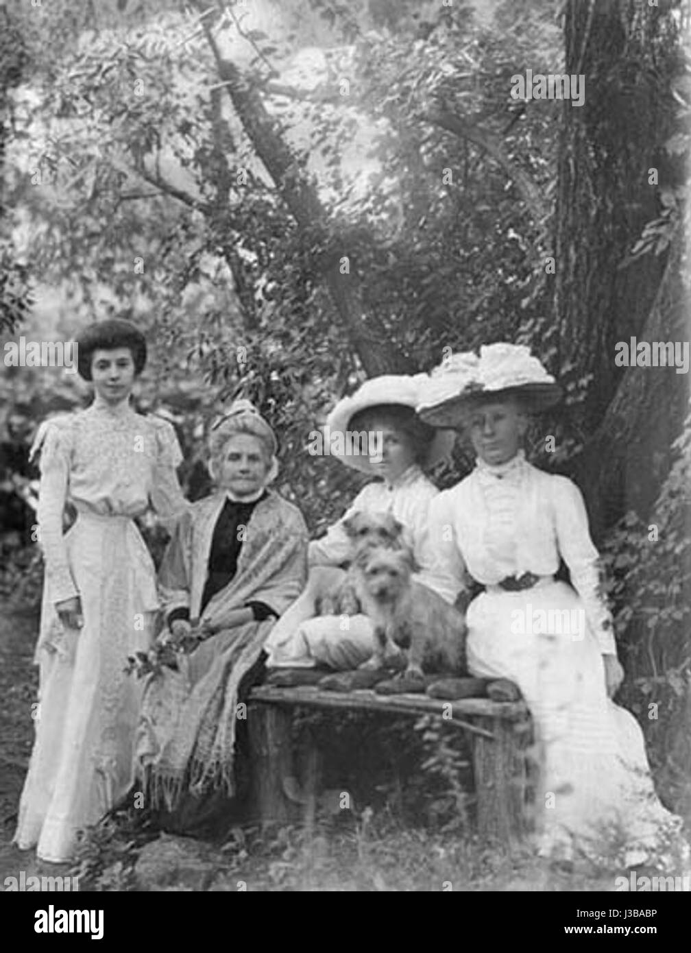 Ellis Rowan (1848â€“1922) was an Australian botanical illustrator and ...