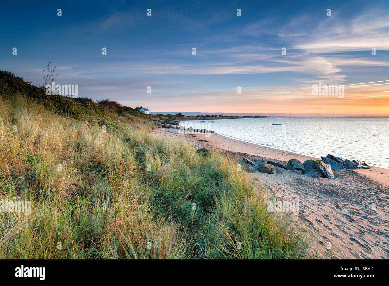 Devon coast and beautiful hi-res stock photography and images - Alamy