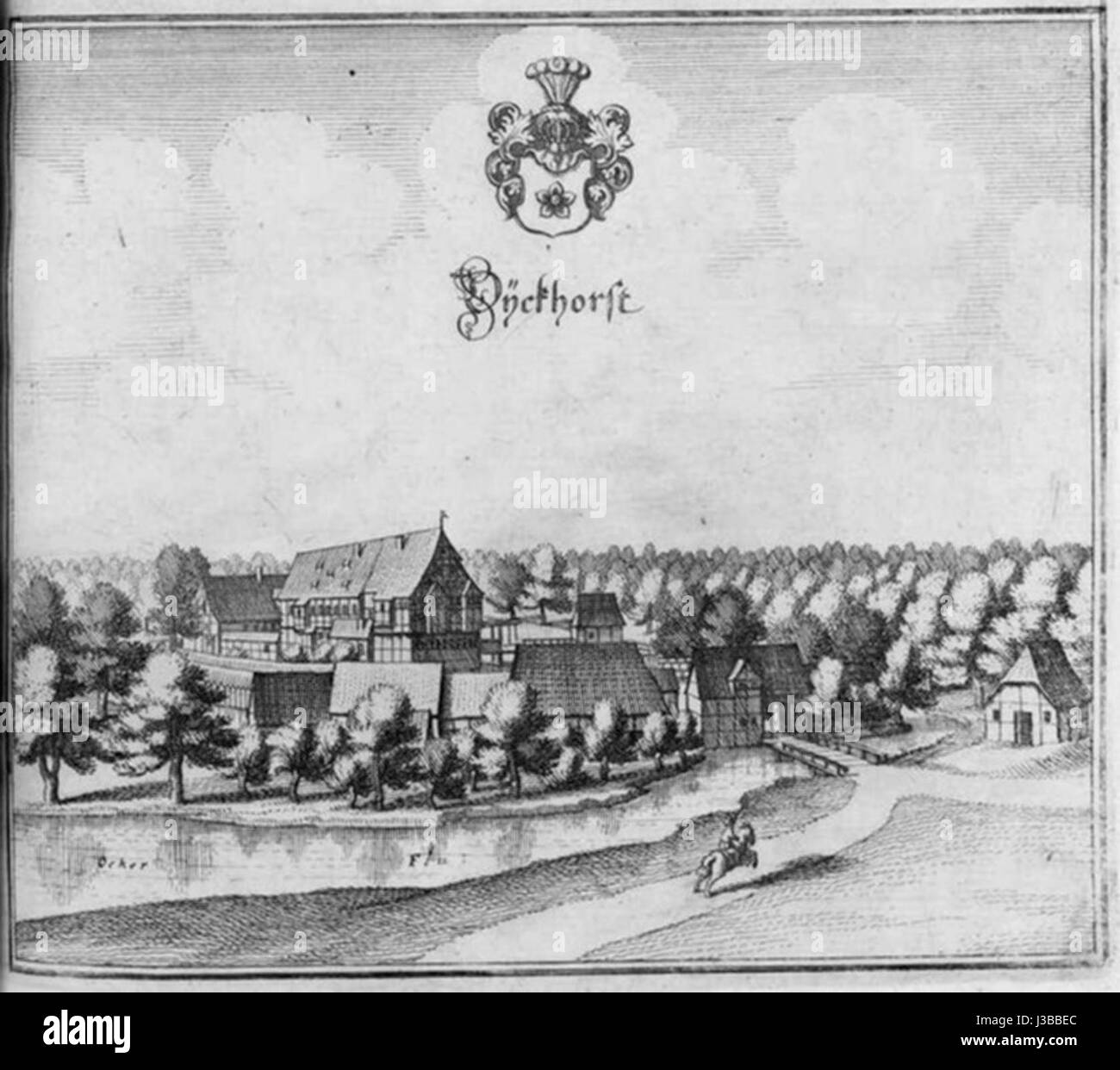 Copper of merian hi-res stock photography and images - Alamy