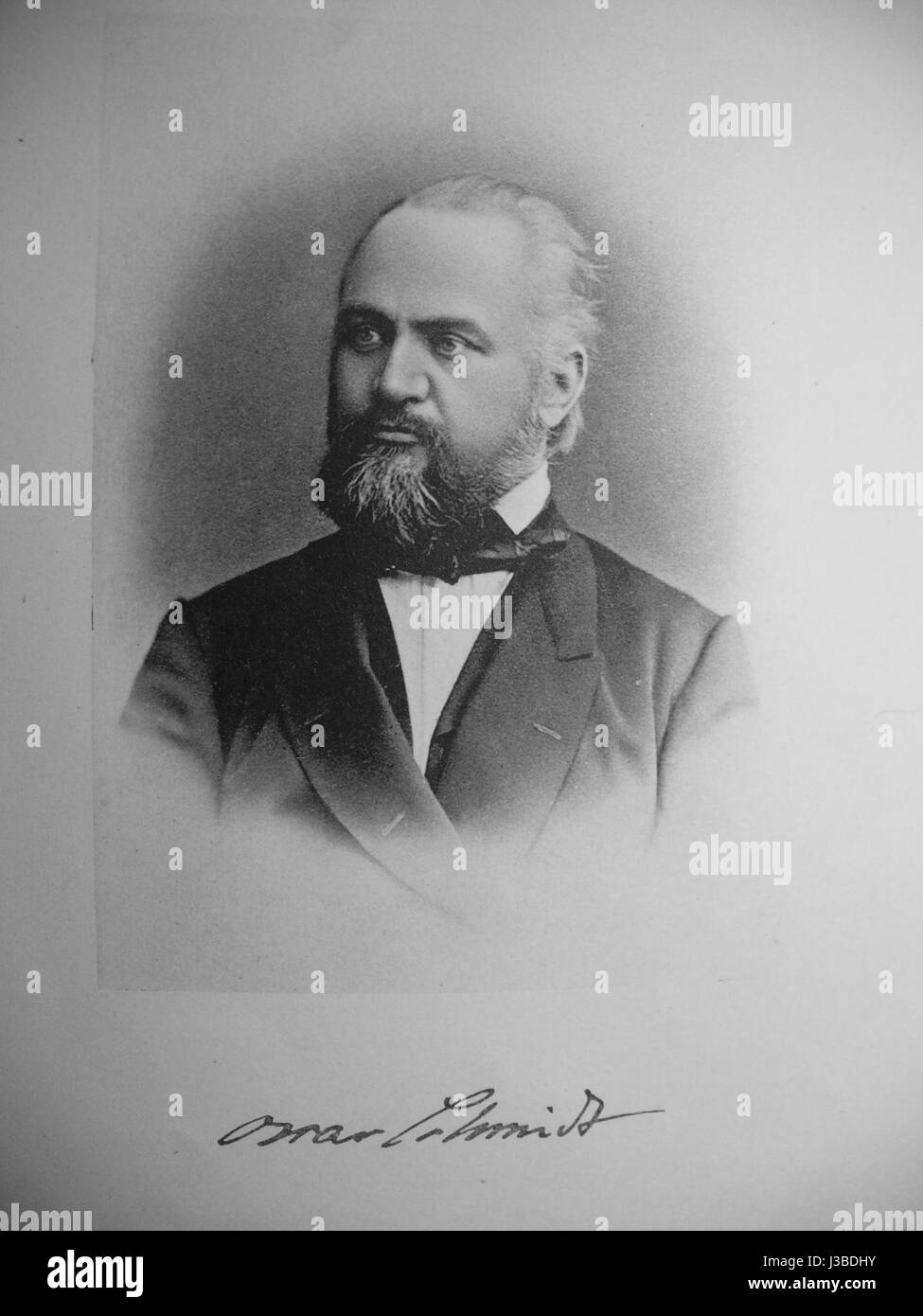 Oscar schmidt hi-res stock photography and images - Alamy