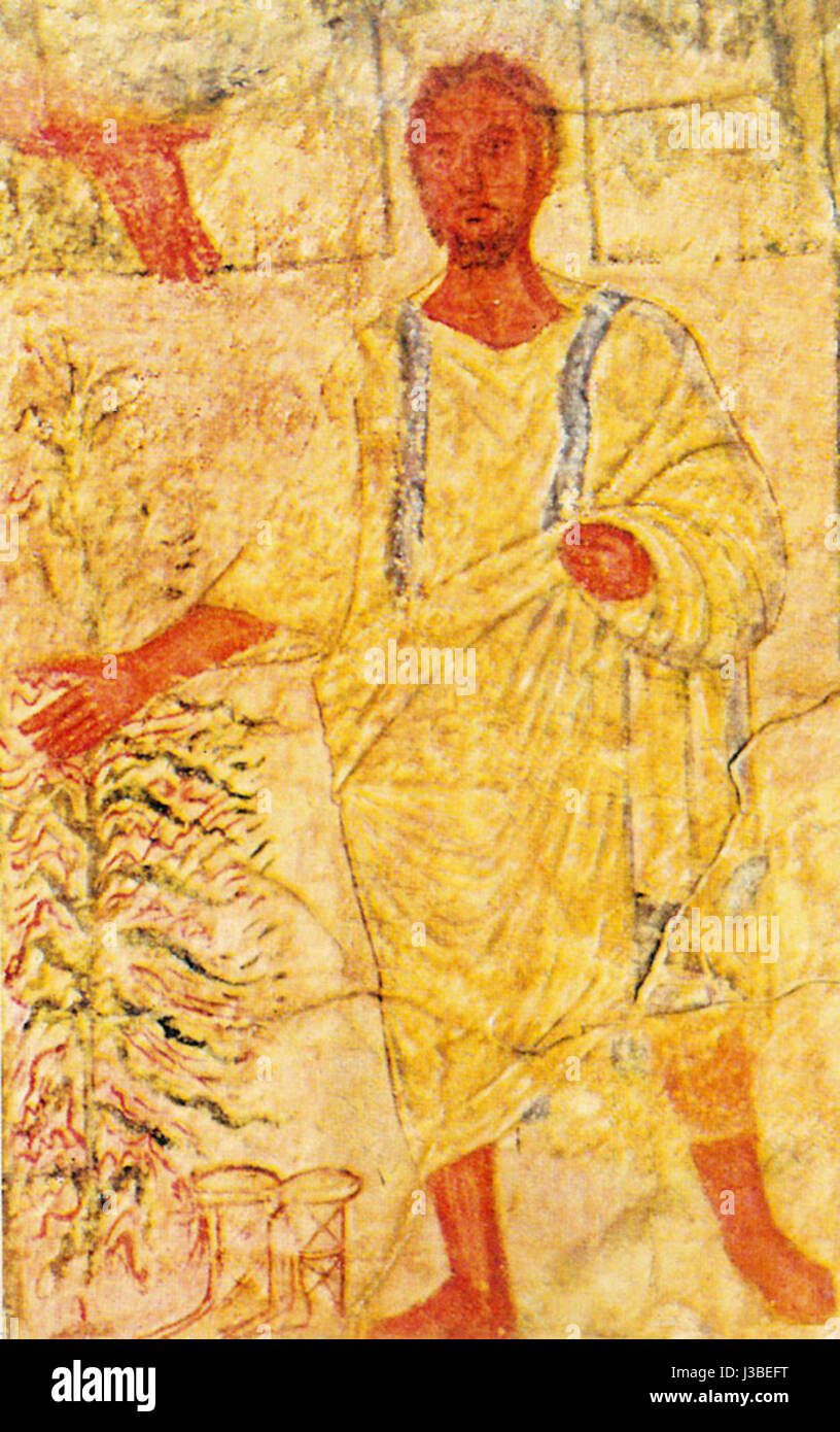 DuraSyn I O Moses burning bush Stock Photo - Alamy