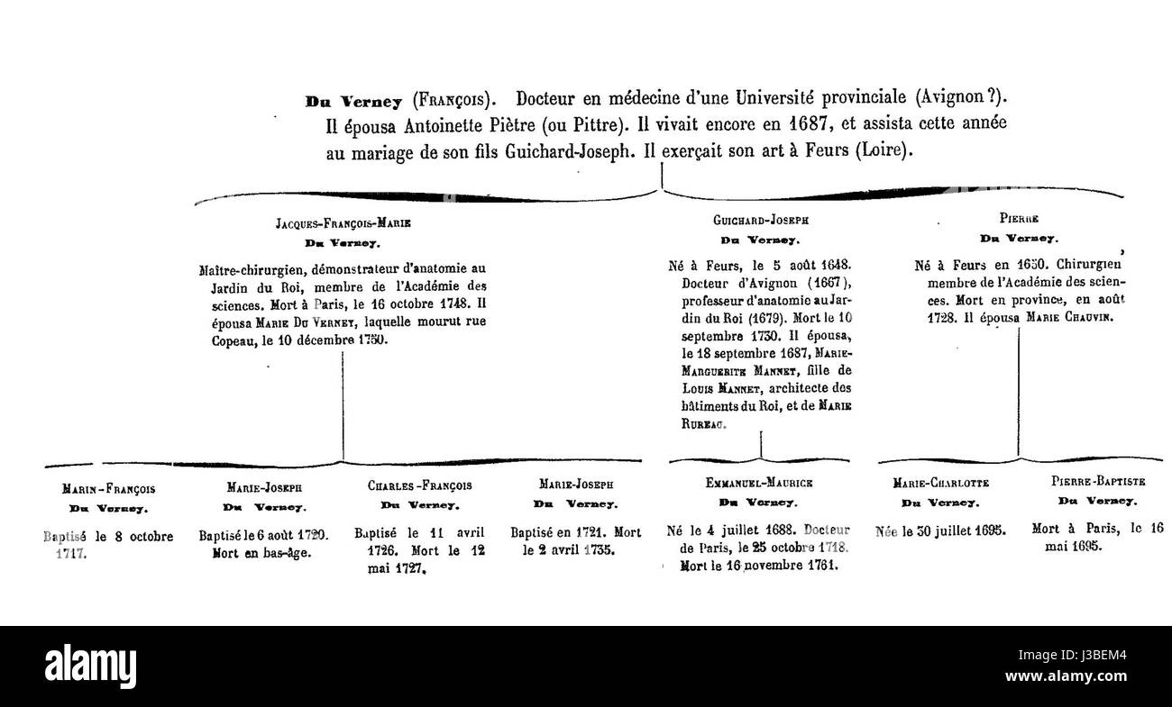 Du Verney Family tree Stock Photo - Alamy