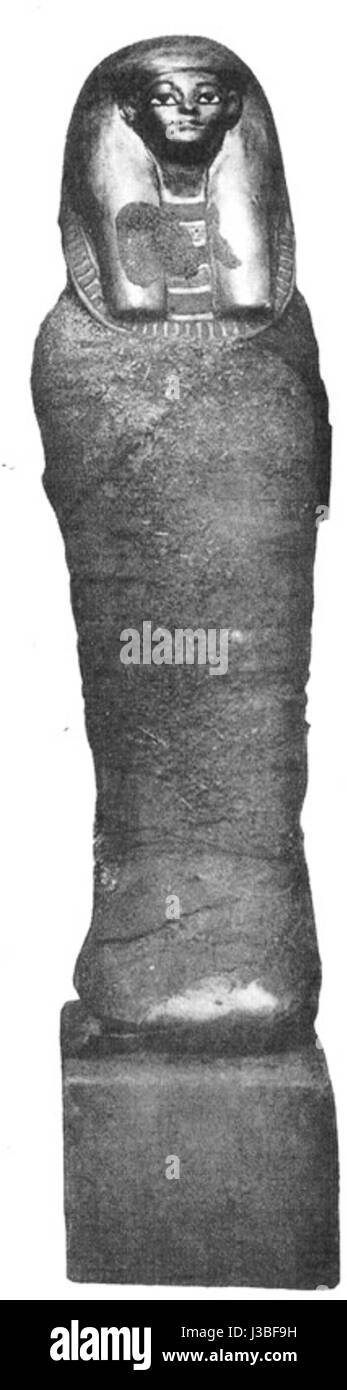 Entrail hi-res stock photography and images - Alamy