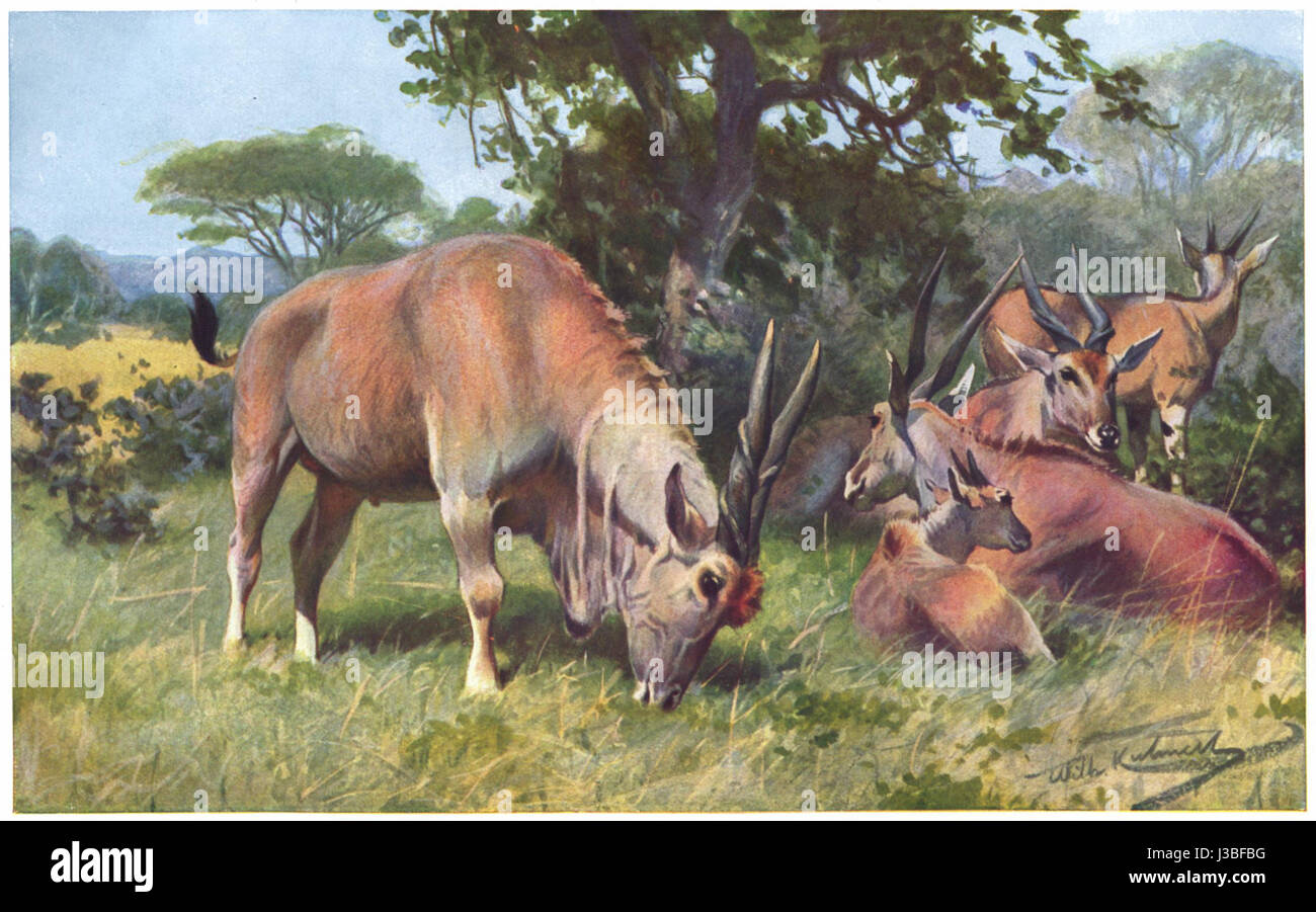 This painting depicts an elenantilope, a type of antelope, showcasing ...