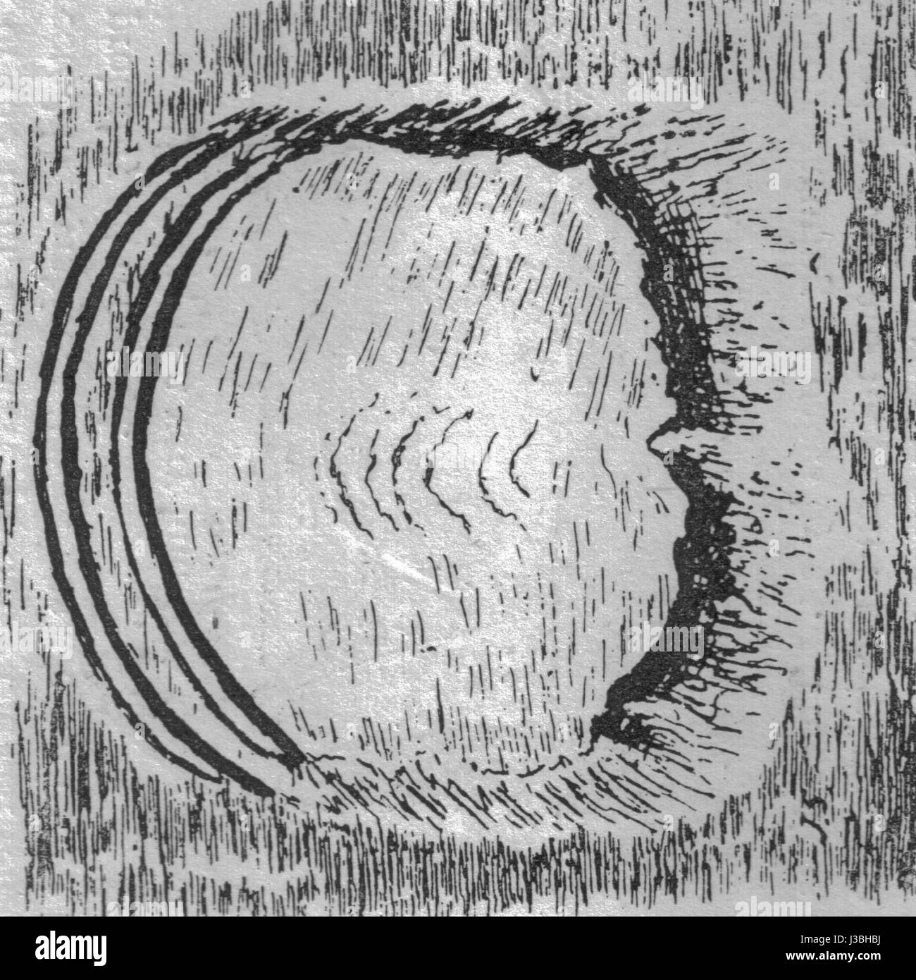 Dunduff Fort, also known as a motte, is a type of historical earthwork ...