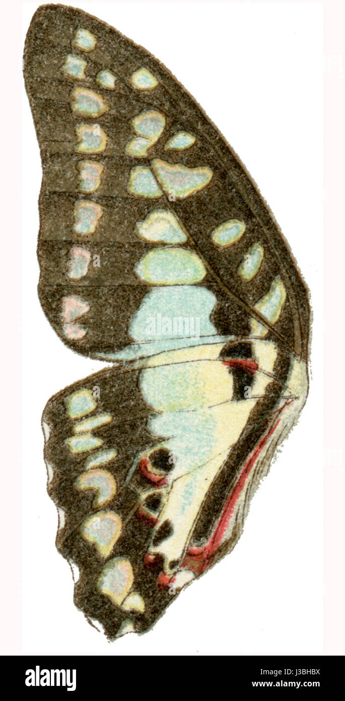 The term 'Doson u copy' refers to a reproduction of an original work ...