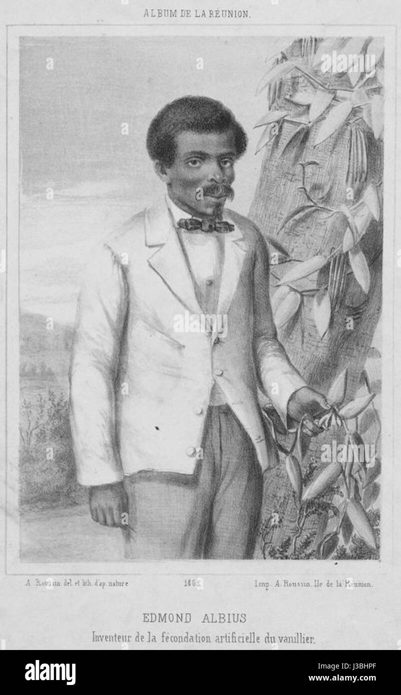 Roussin hi-res stock photography and images - Alamy