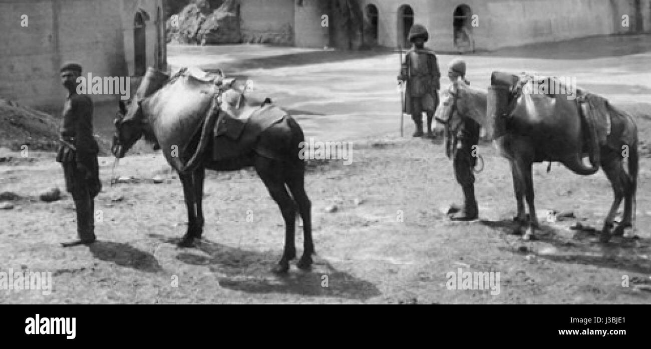 Ermakov Black and White Stock Photos & Images - Alamy