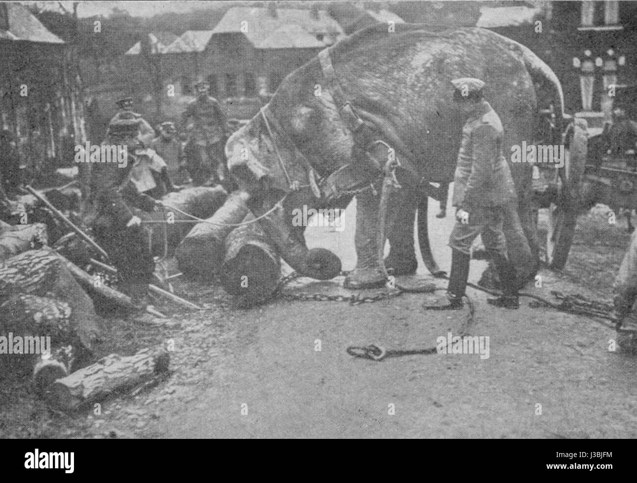 The image portrays an elephant engaging in labor, showcasing the animal ...