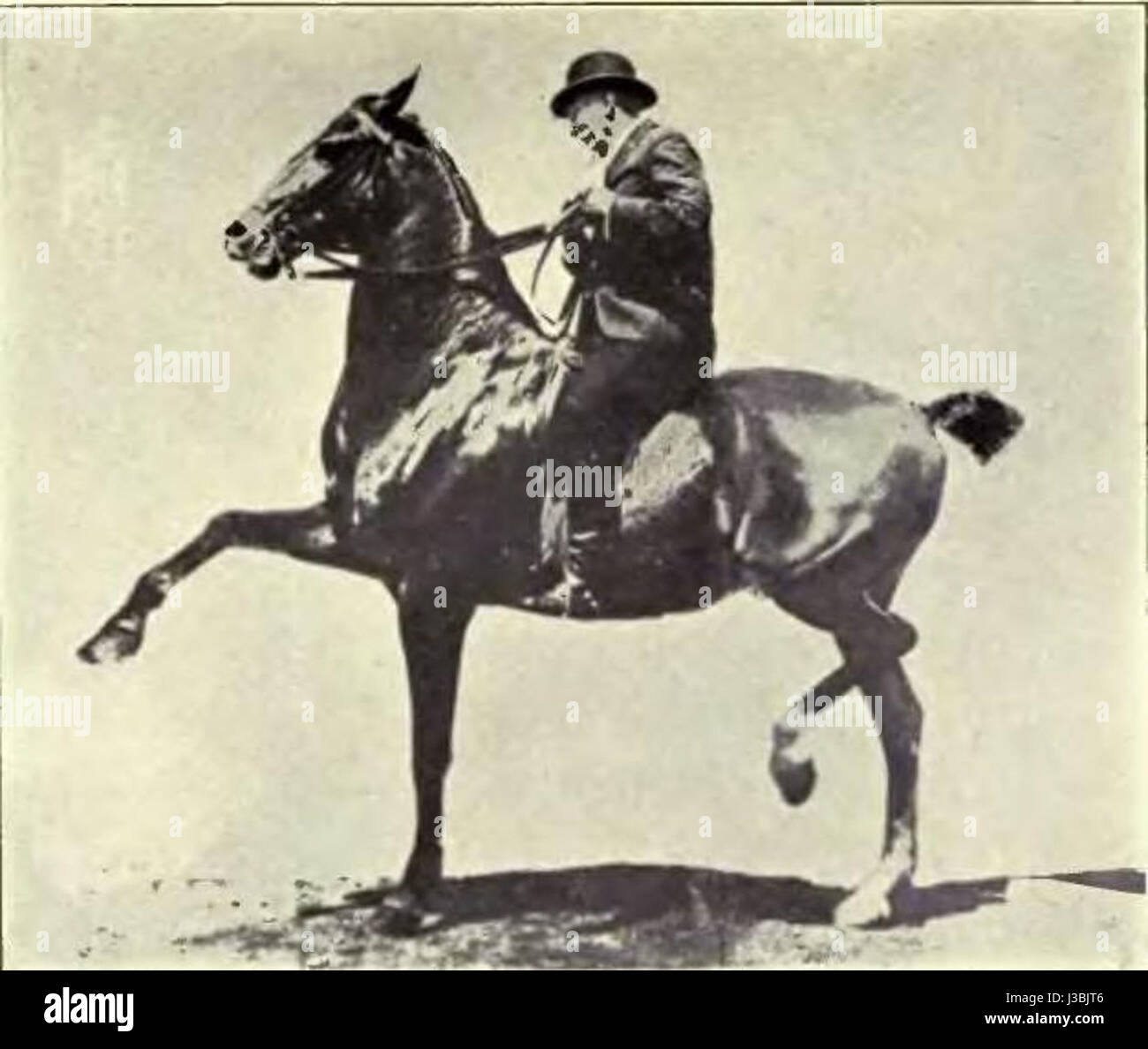 This figure in equitation refers to a specific illustration or ...