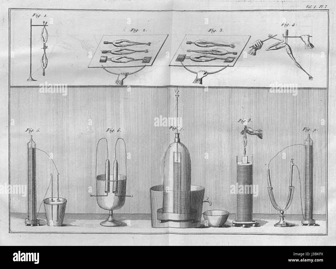 Work on frog biology Black and White Stock Photos & Images - Alamy