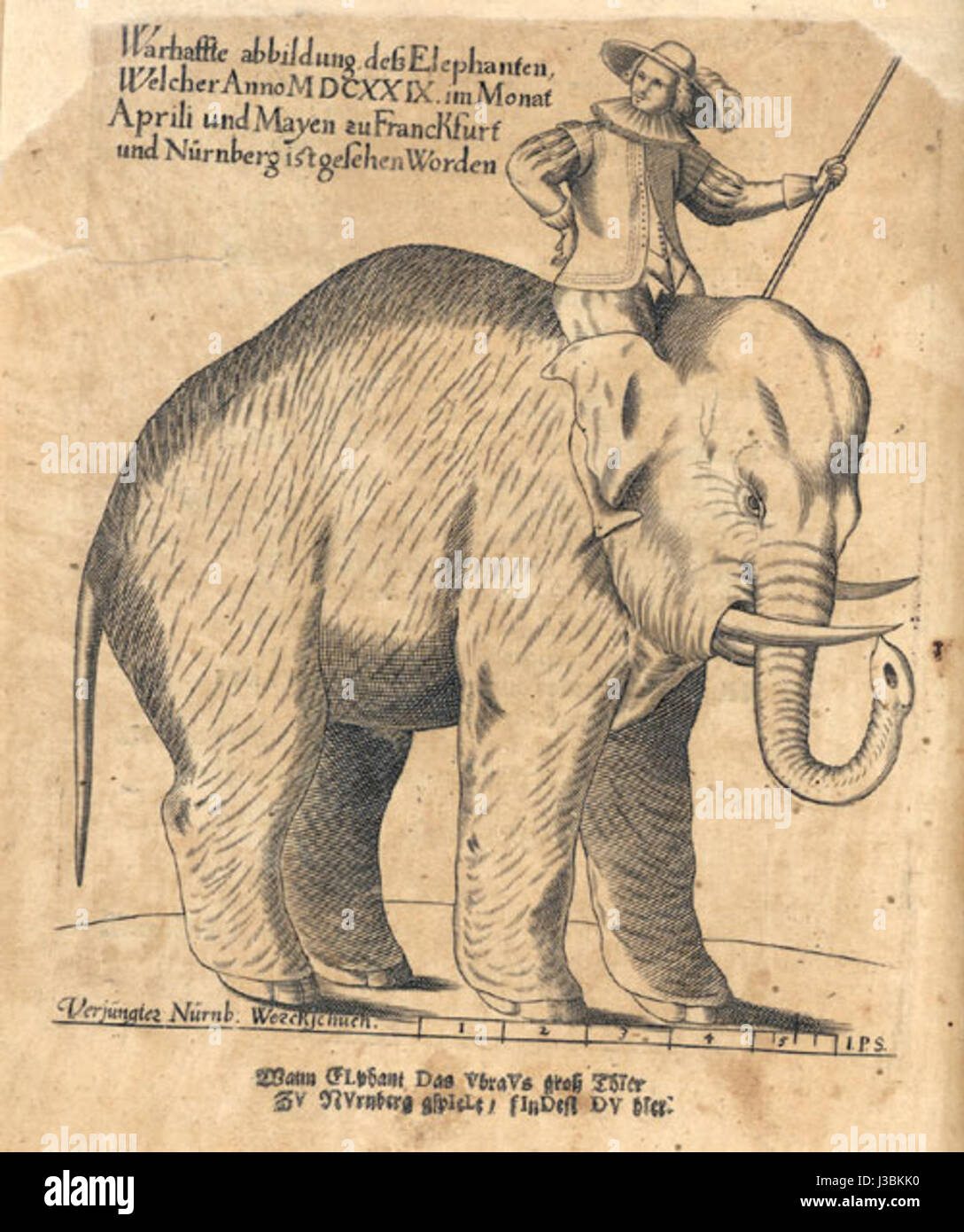 1629 map hi-res stock photography and images - Alamy