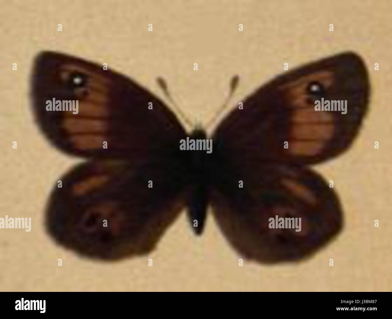 Is noted for its high elevation hi-res stock photography and images - Alamy