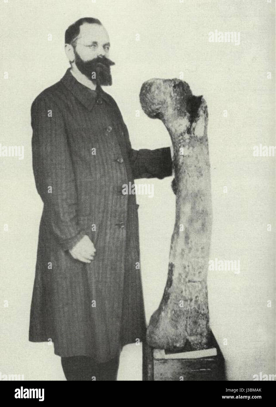 Ernst stromer hi-res stock photography and images - Alamy