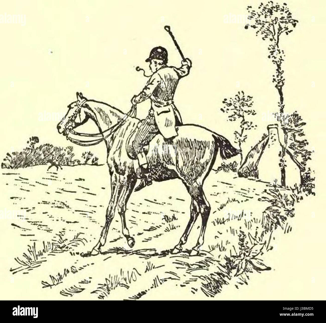 *Equitation Images Fig. 08* depicts a key moment in horseback riding ...