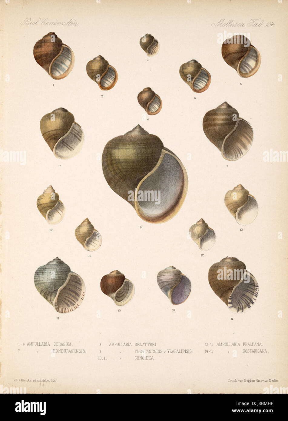 A portrait of Eduard Von Marten (1890–1901), a German officer. This ...