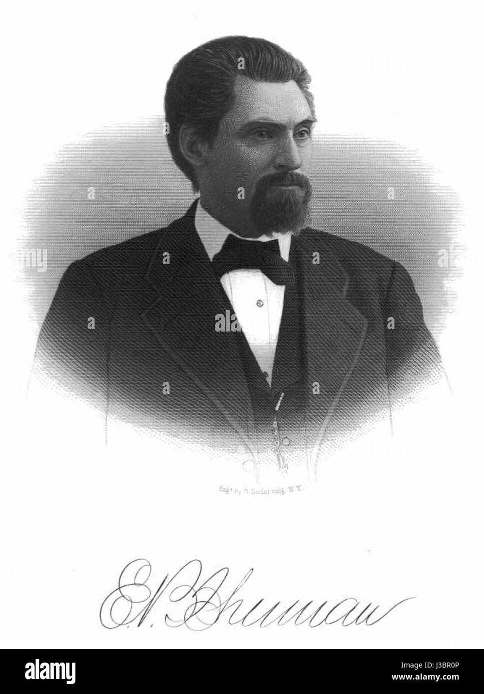 Other b Cut Out Stock Images & Pictures - Alamy