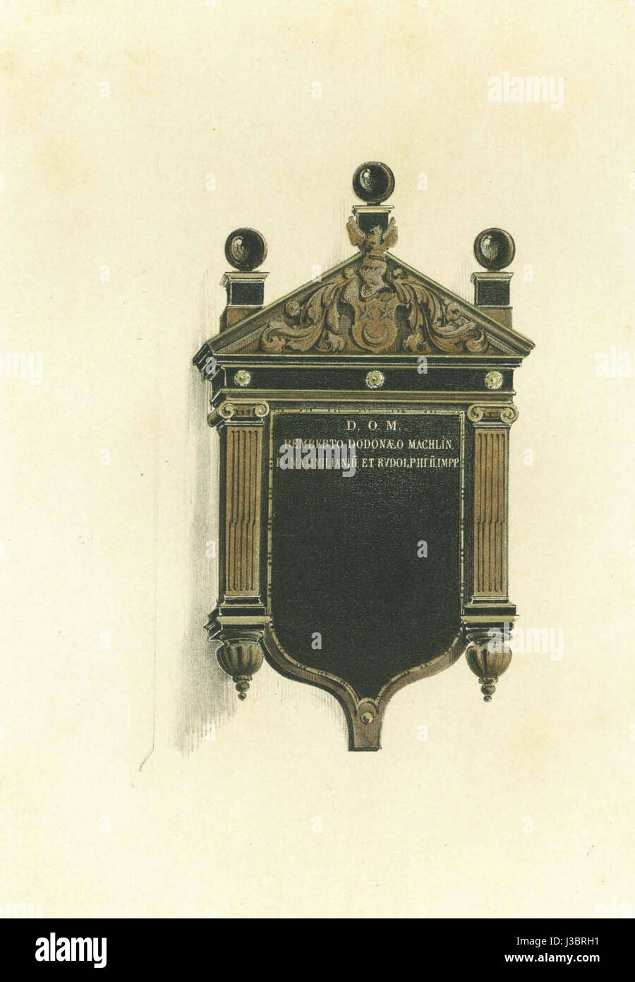 The Dodonaeus beeld (statue) represents the famous botanist Rembert ...