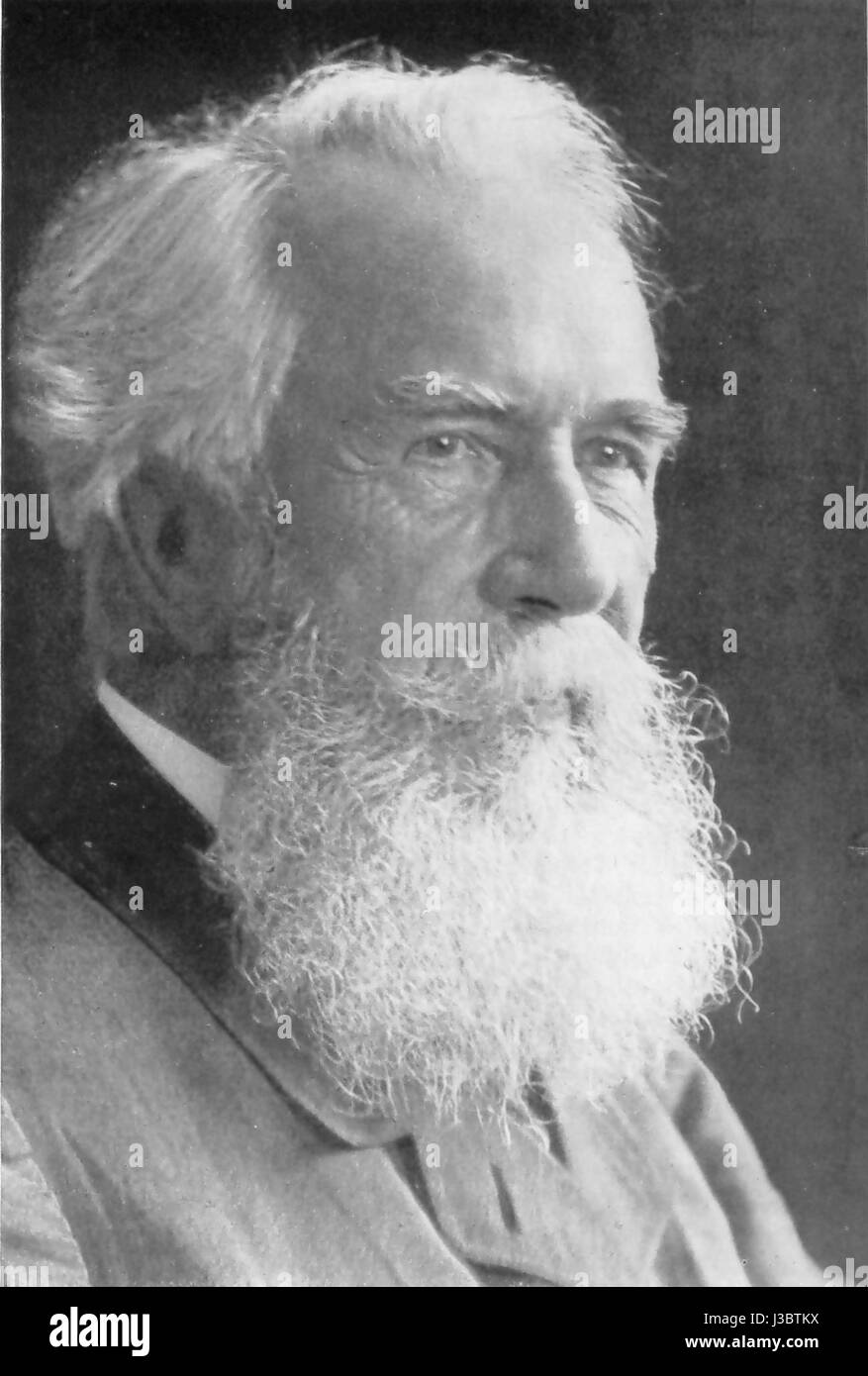 Ernst haeckel marine biologist Black and White Stock Photos & Images ...