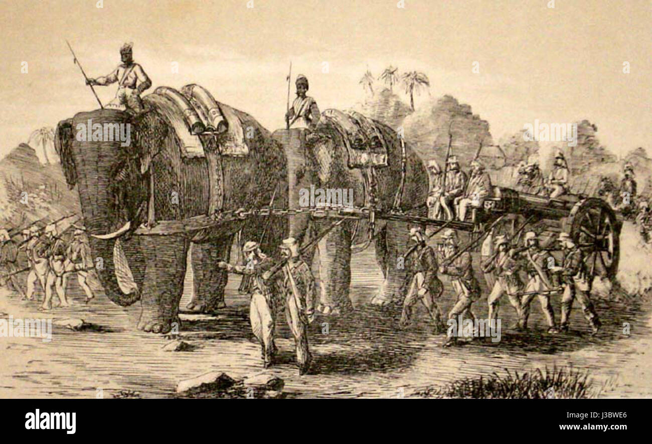 Hunting gun hi-res stock photography and images - Alamy