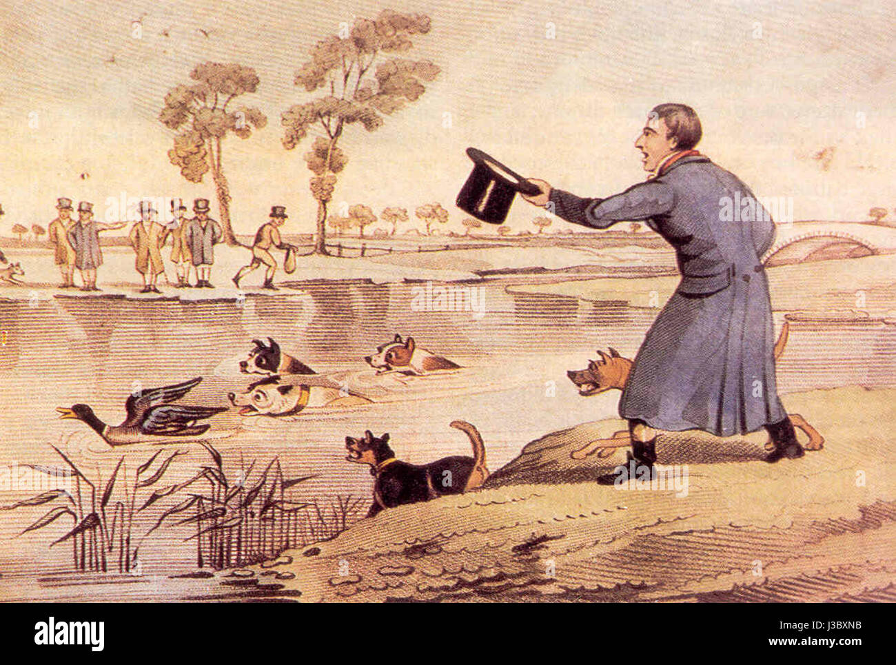 Baiting hi-res stock photography and images - Alamy