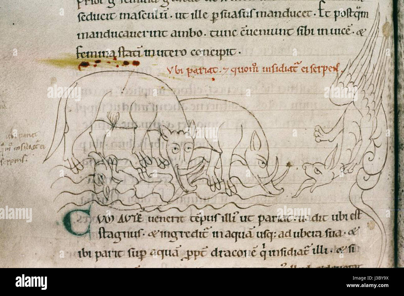 Bestiary hi-res stock photography and images - Alamy