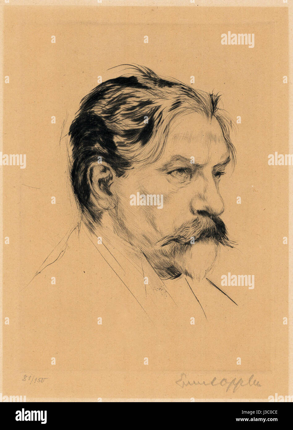 Nikisch High Resolution Stock Photography and Images - Alamy