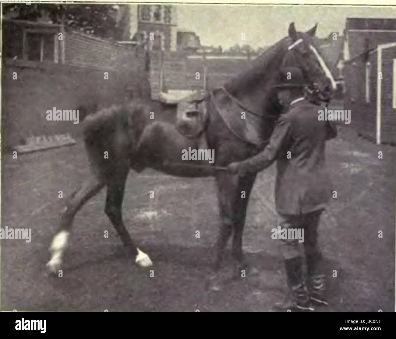 This illustration from a historical equitation manual presents an image ...