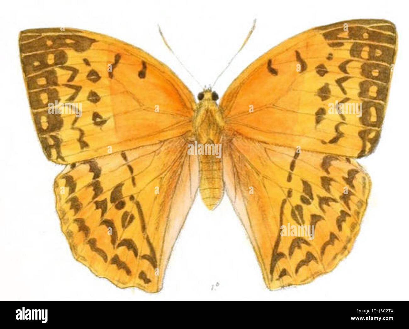 Historical teachings Cut Out Stock Images & Pictures - Alamy