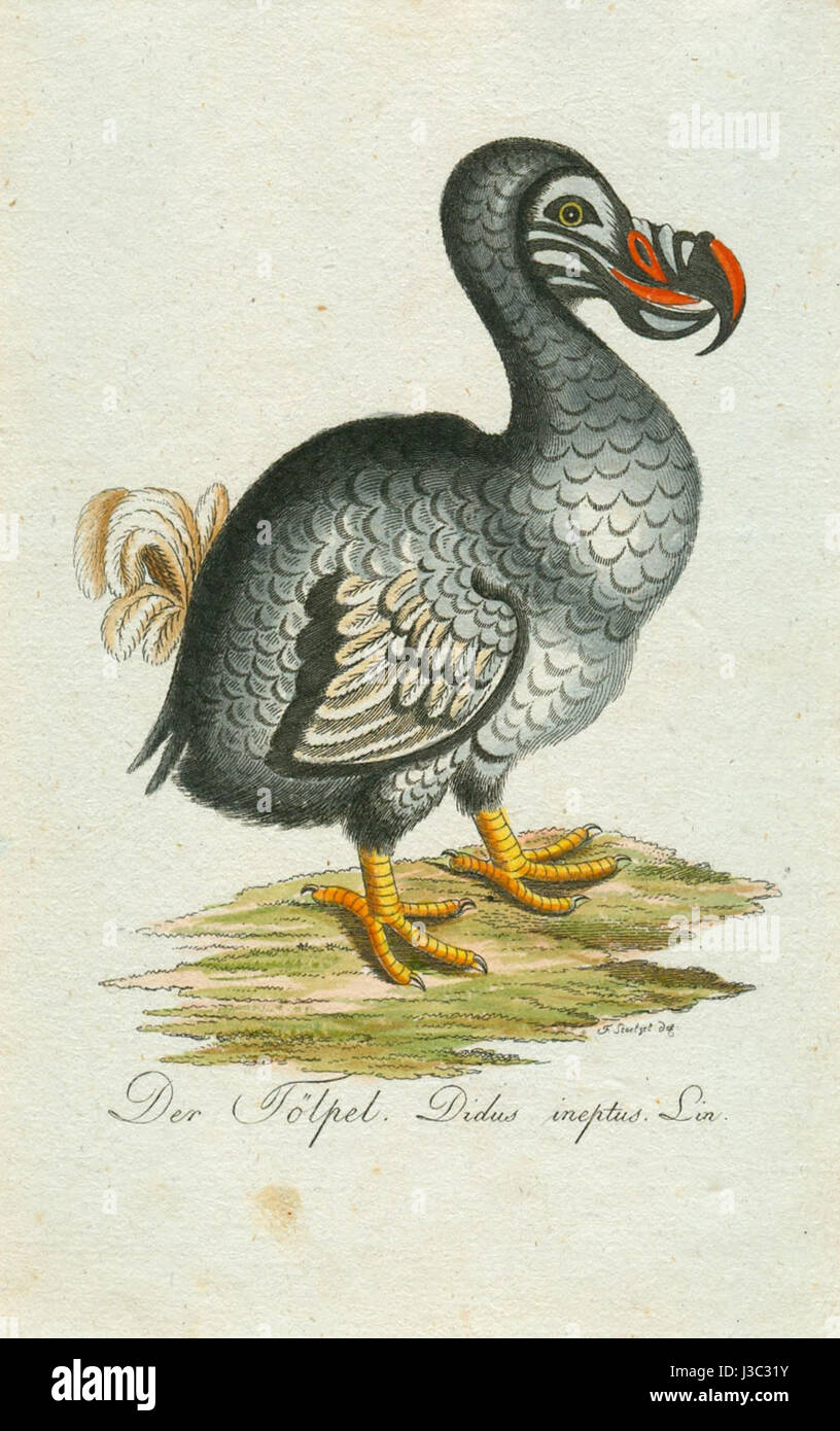 Mauritius island dodo bird hi-res stock photography and images - Alamy