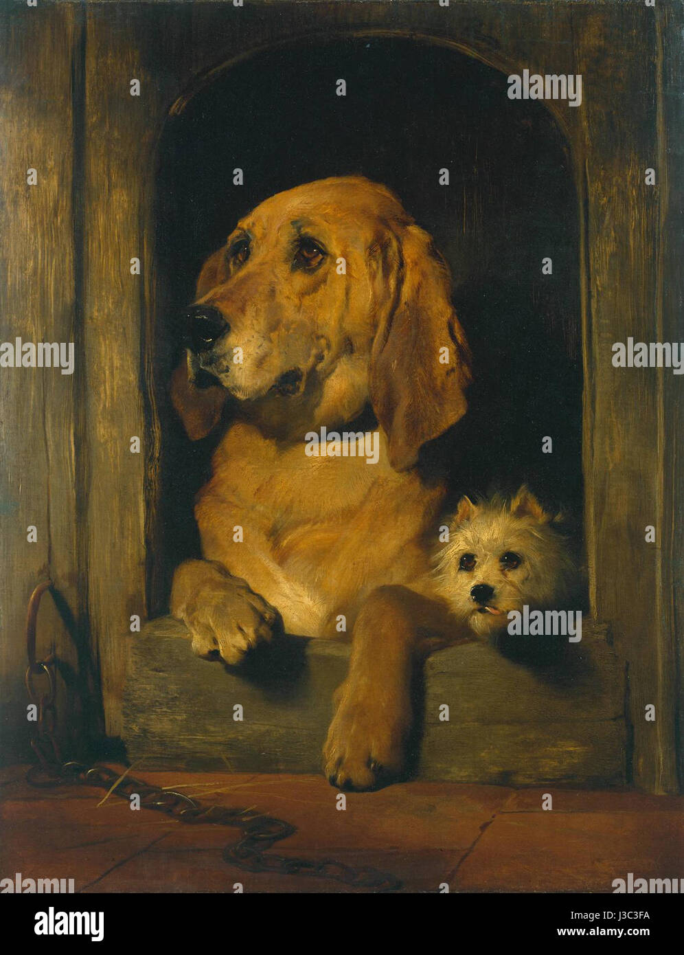 Impudence hi-res stock photography and images - Alamy