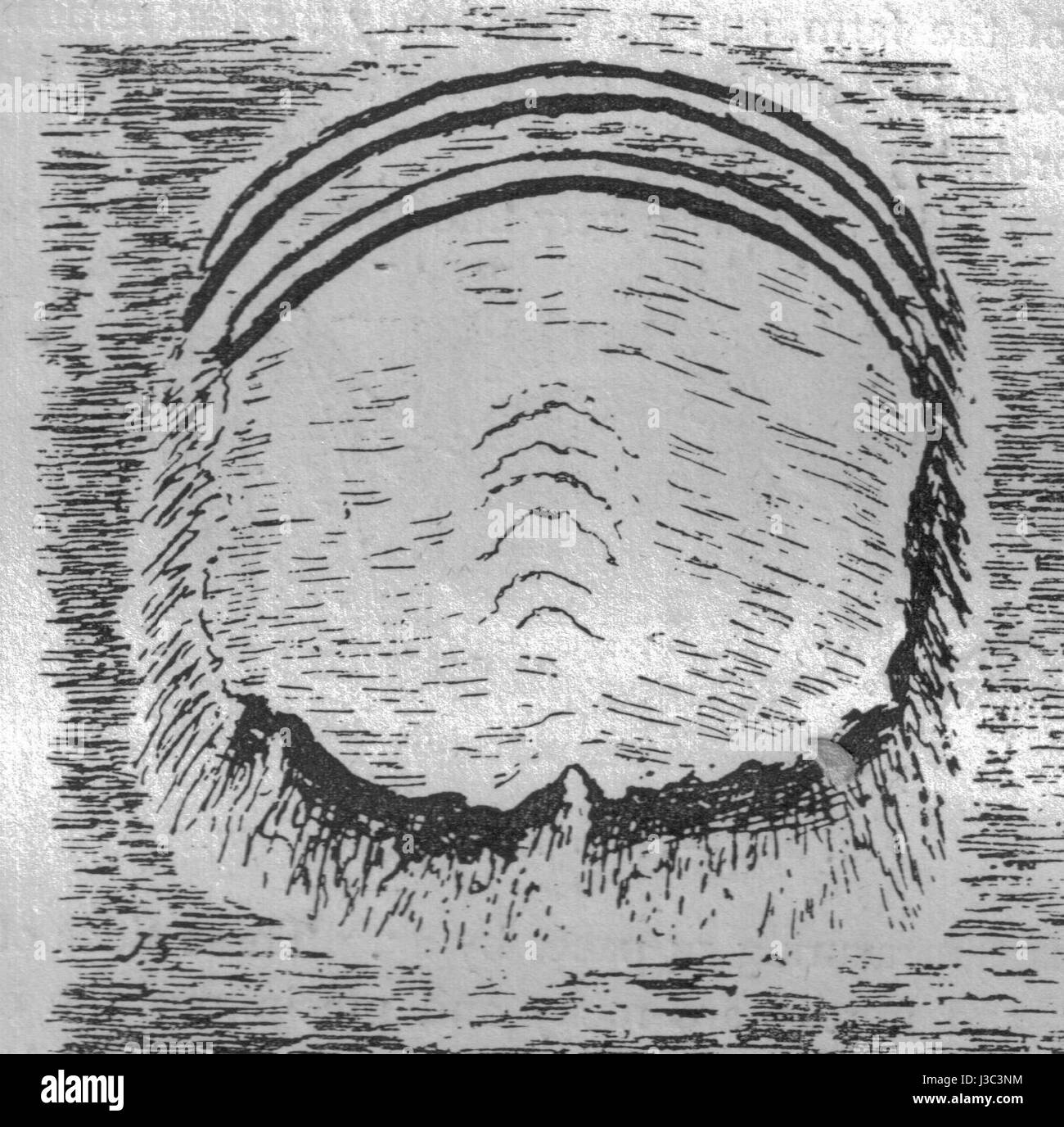 Dunduff Fort, also known as Dane's Hill, is an ancient fort located in ...