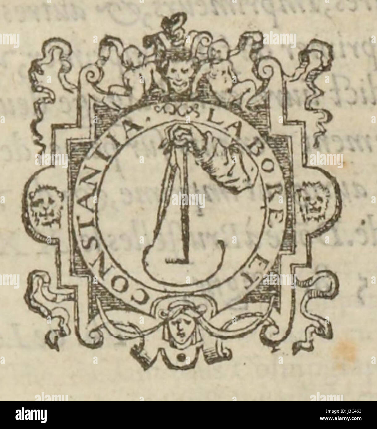 Christophe Plantin High Resolution Stock Photography and Images - Alamy