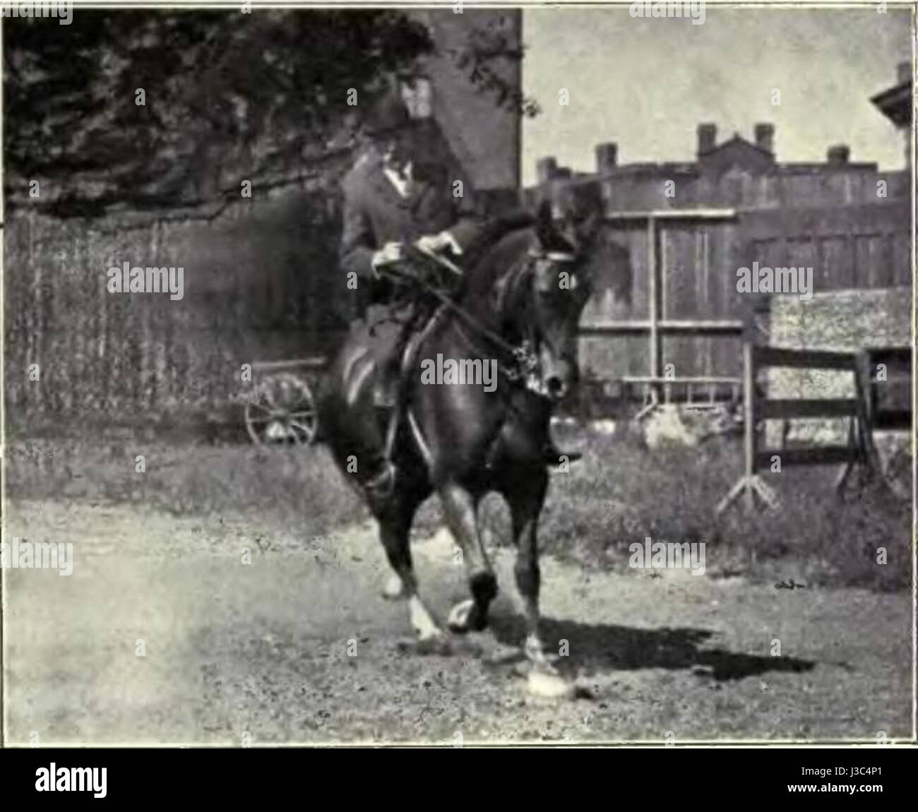 This image showcases a figure from an equitation guide, illustrating ...