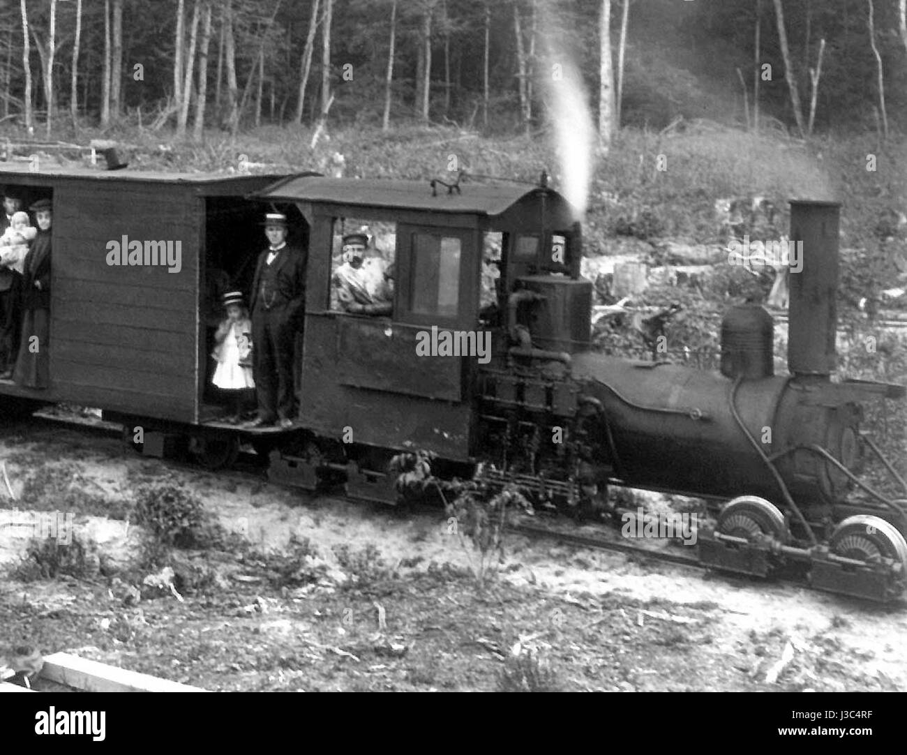 19th century logging hi-res stock photography and images - Alamy