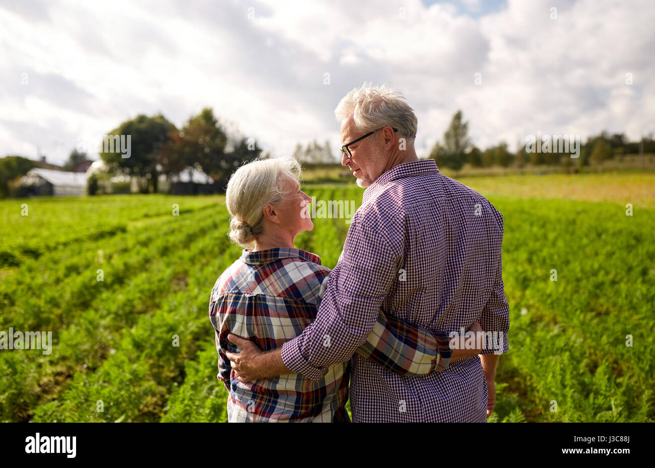 happy senior couple at summer farm Stock Photo - Alamy