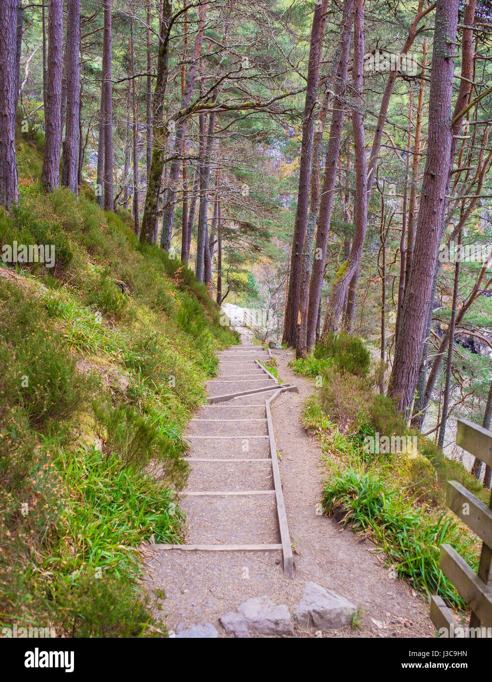 Footpath leading to Foyers waterfall, Foyers, Scotland Stock Photo - Alamy
