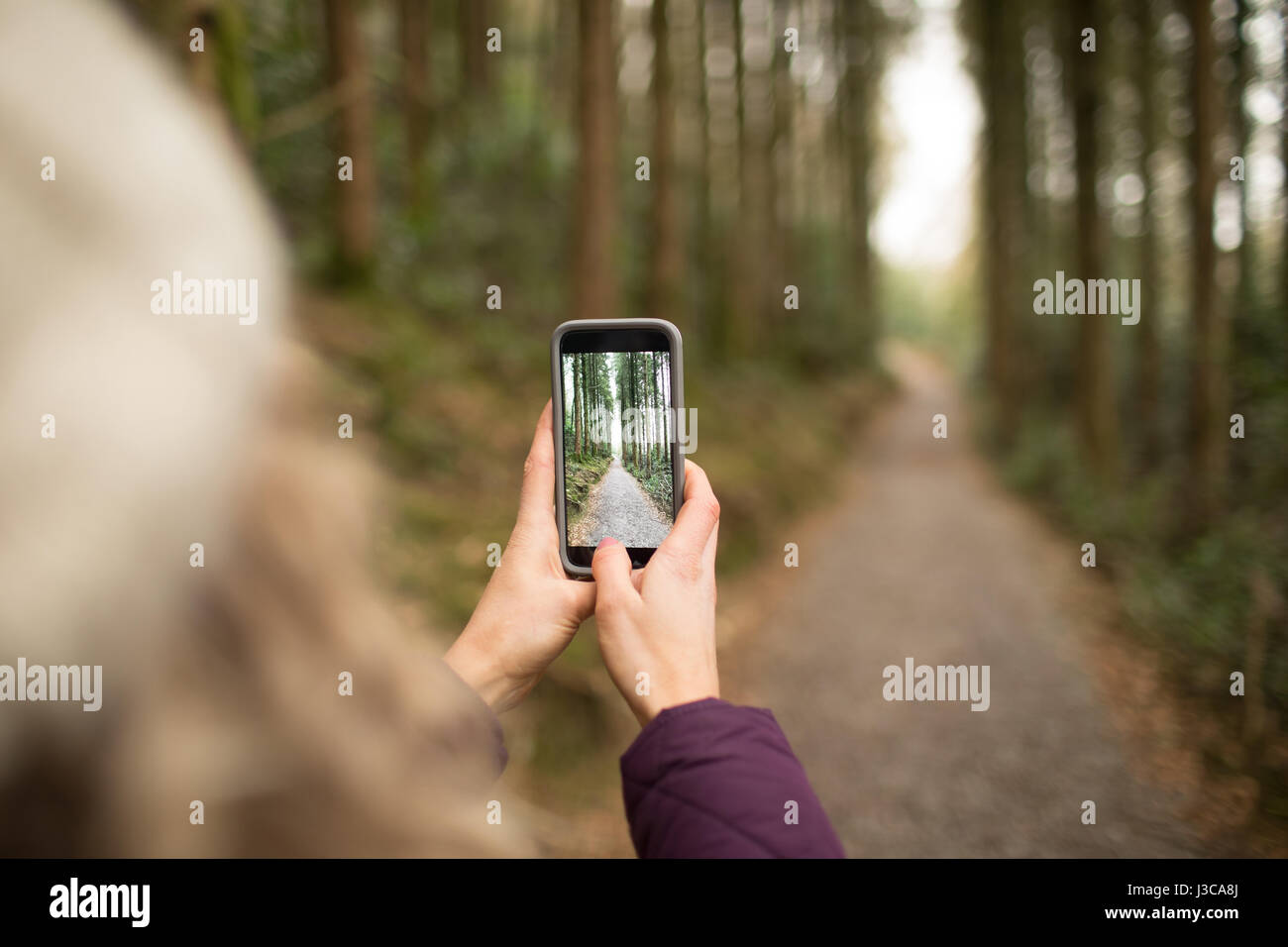 Woman clicking a picture in the forest Stock Photo - Alamy